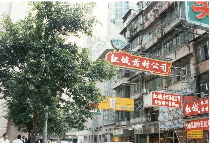 Wong Kim Yuen- On the Edge of Spaces: Blade Runner, Ghost in the Shell ...